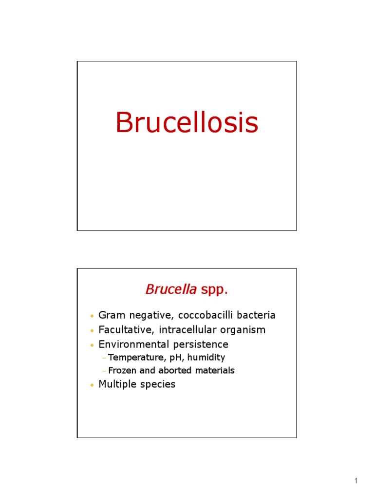 Brucellosis Brucellosis: Brucella Spp. Brucella SPP | PDF | Infection ...