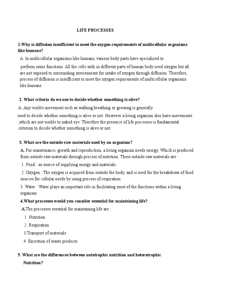 Grade 10 Life Processes Part 1 Notes 2021-22 | PDF | Digestion | Blood