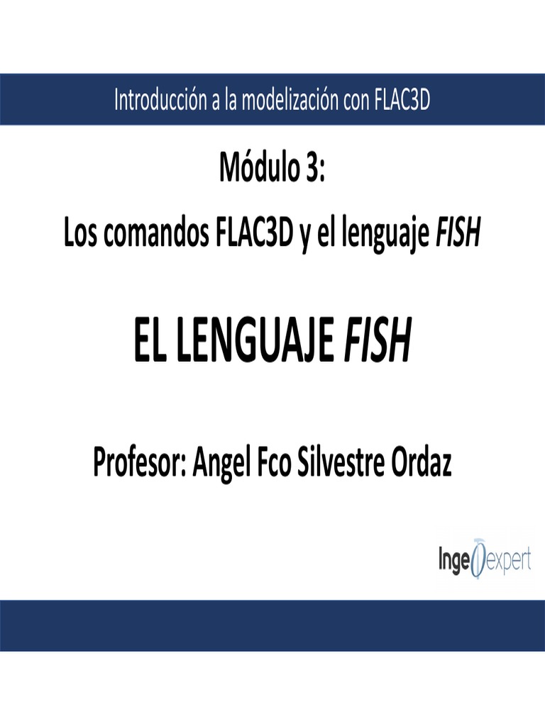 Módulo 3 El Lenguaje FISH | PDF | Lenguaje de programación | Software