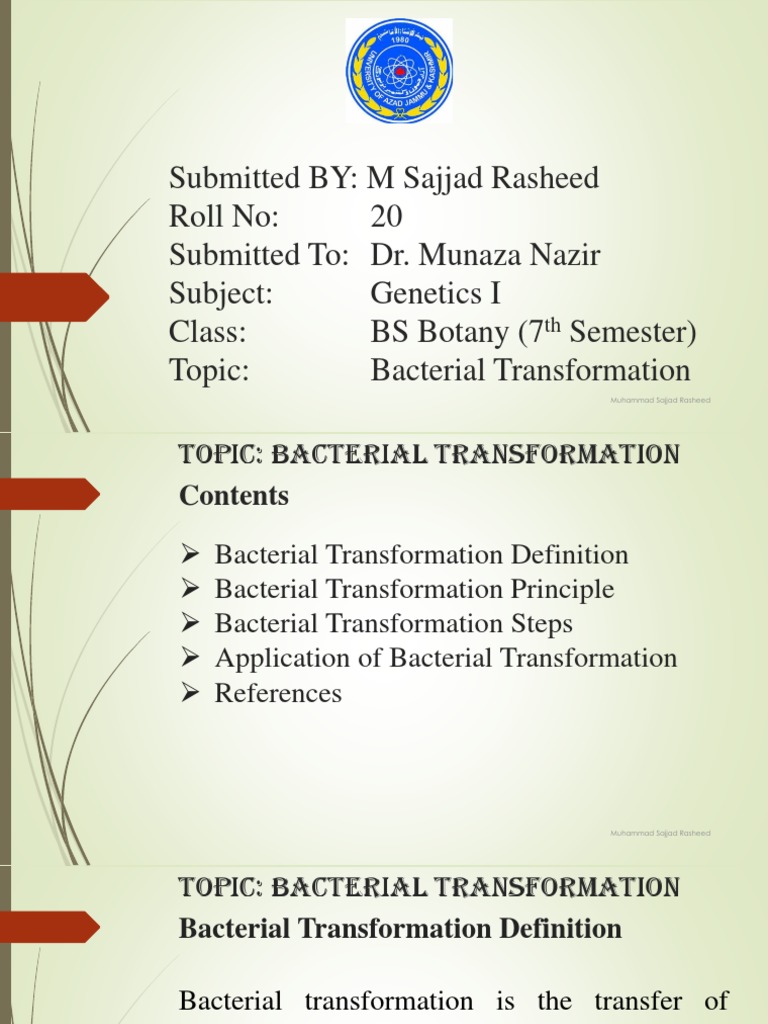 Bacterial Transformation Presentation | PDF | Transformation (Genetics ...