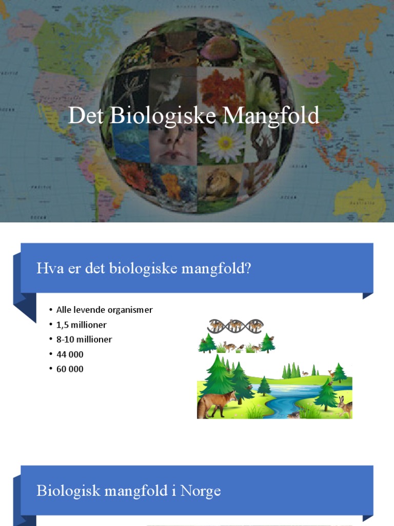 Det Biologiske Mangfold | PDF