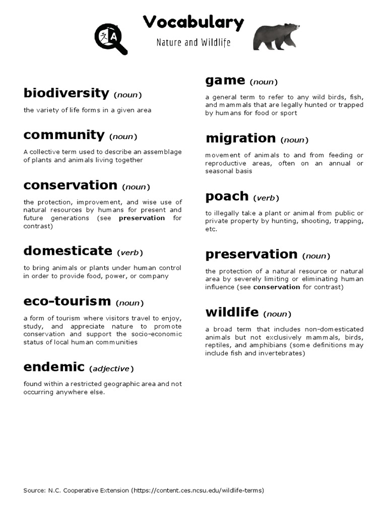 Nature and Wildlife Vocabulary | PDF