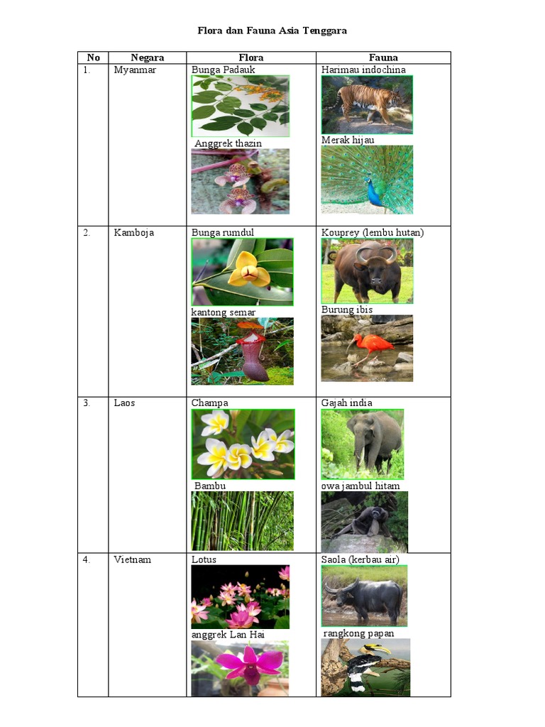 Flora Dan Fauna Asia Tenggara | PDF