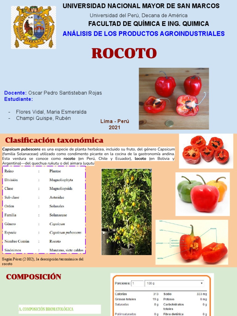 G1 Rocoto | PDF | Química