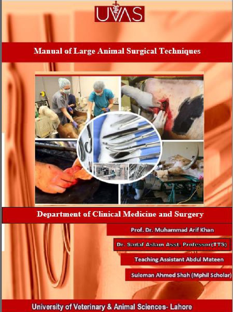 Emailing Manual of Large Animal Surgical Techniques | PDF | Surgical ...