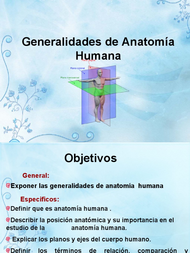 Clase 1 GENERALIDADES - ANATOMIA - HUMANA | PDF | Anatomía | Términos ...