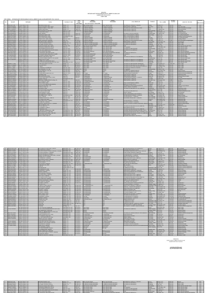 Data Pegawai 2020 | PDF