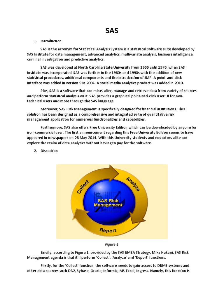 Case Study SAS | PDF | Sas (Software) | Analysis