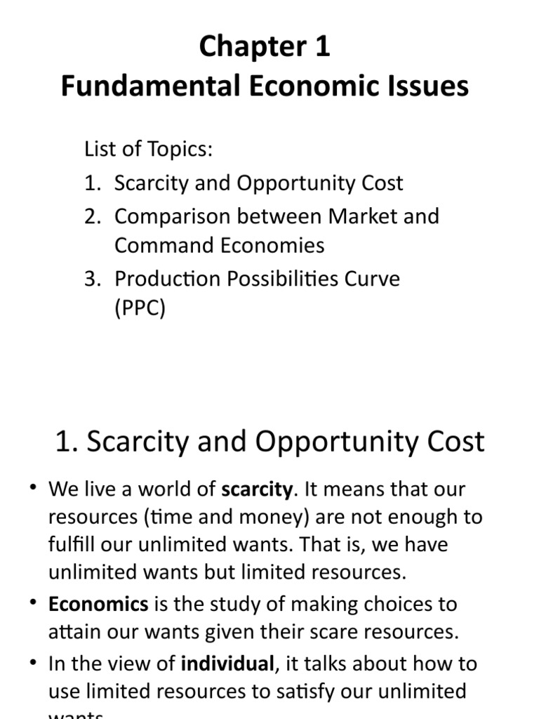 Economic Principles: Scarcity & Choices | PDF | Opportunity Cost ...