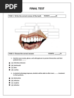 CBSE Class 4 Science Worksheet - Teeth PDF | PDF