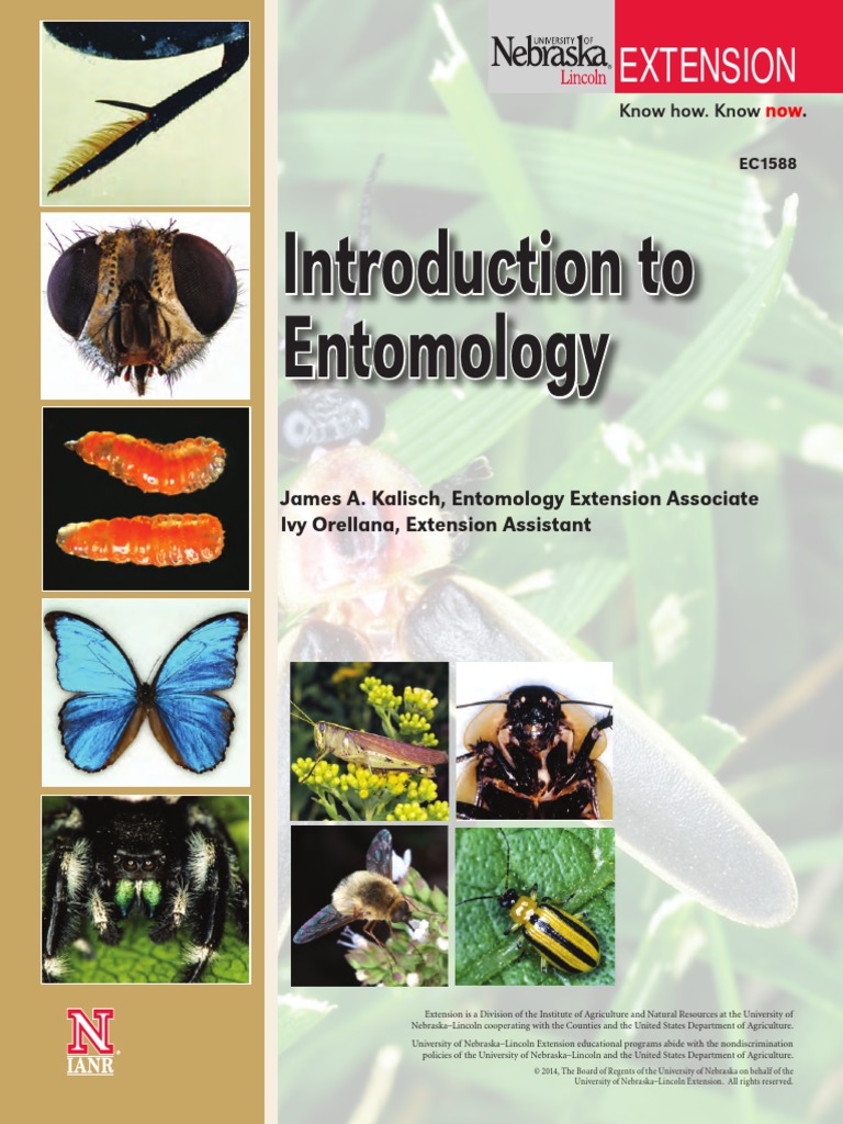 Ce Ec1588 Introduction To Entomology | PDF | Insects | Fly