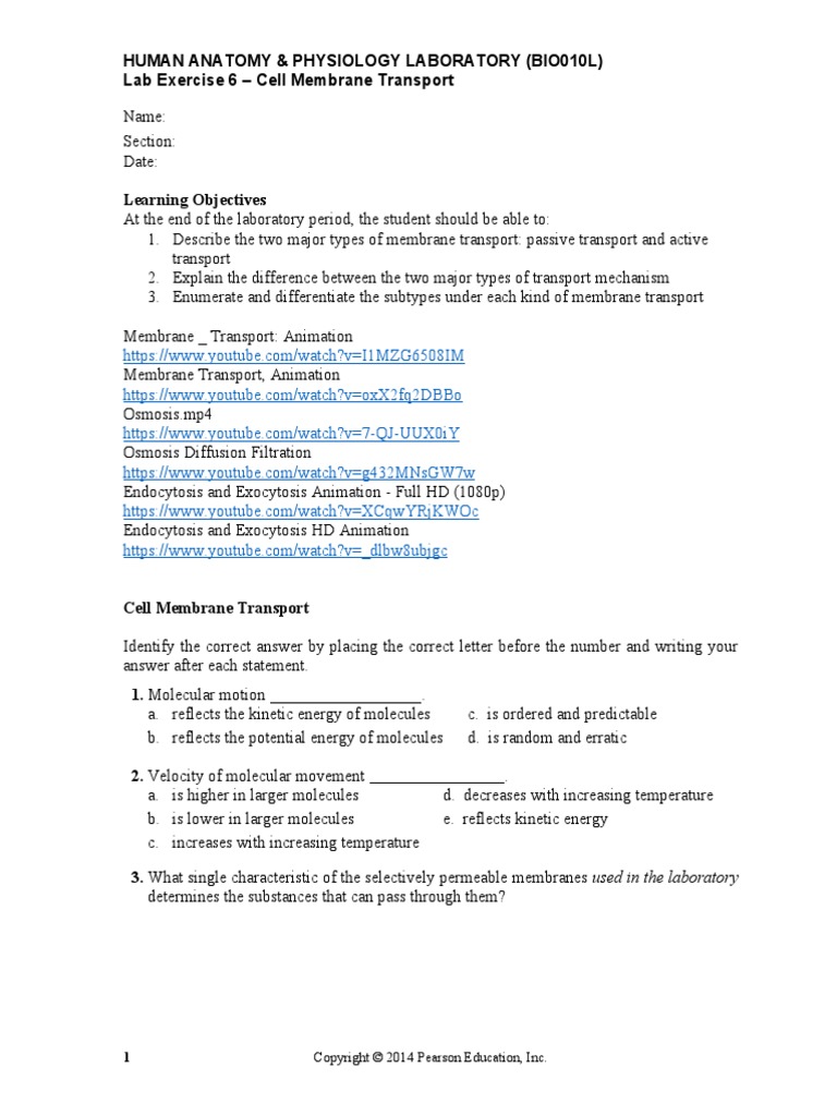 Lab Exercise # 6 - Cell Membrane Transport | PDF | Cell Membrane ...