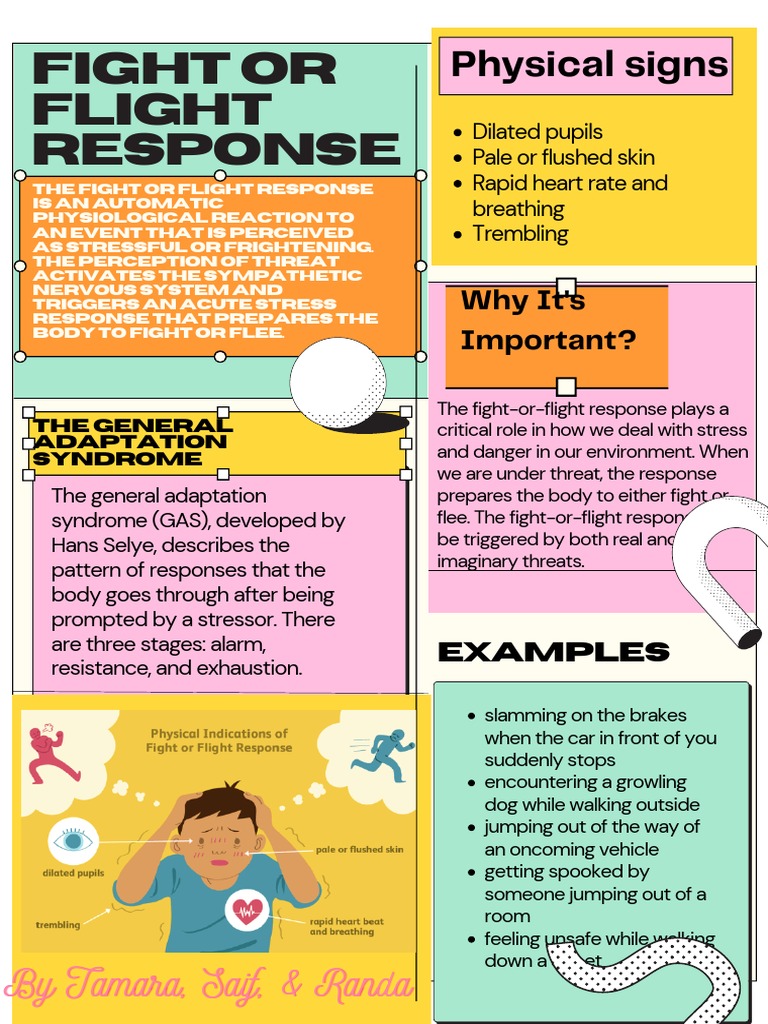 Fight or Flight Response | PDF