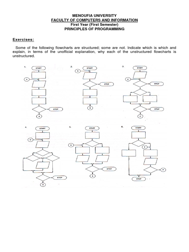 Menoufia University Faculty of Computers and Information First Year ...