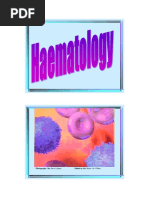 Interpreting IDEXX ProCyte Dx Dot Plots | PDF | White Blood Cell ...