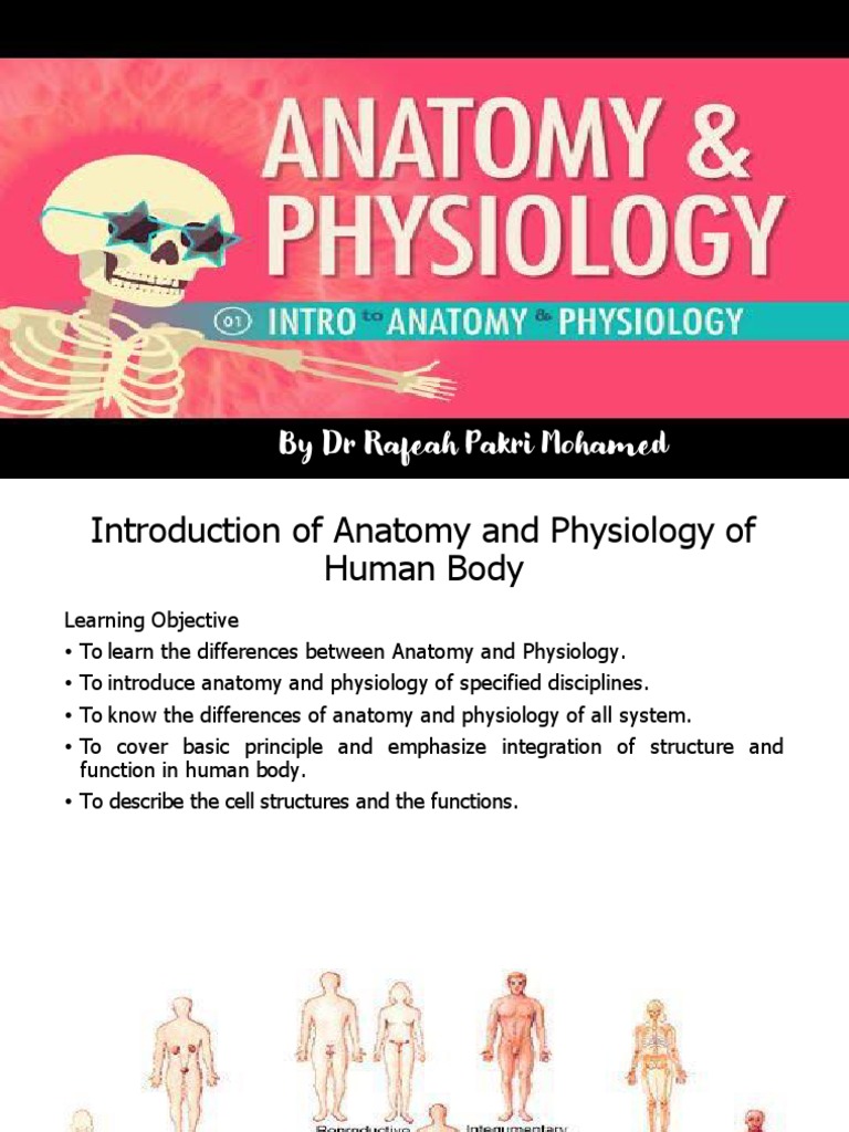 Anatomy and Physiology Overview | PDF | Epithelium | Endoplasmic Reticulum