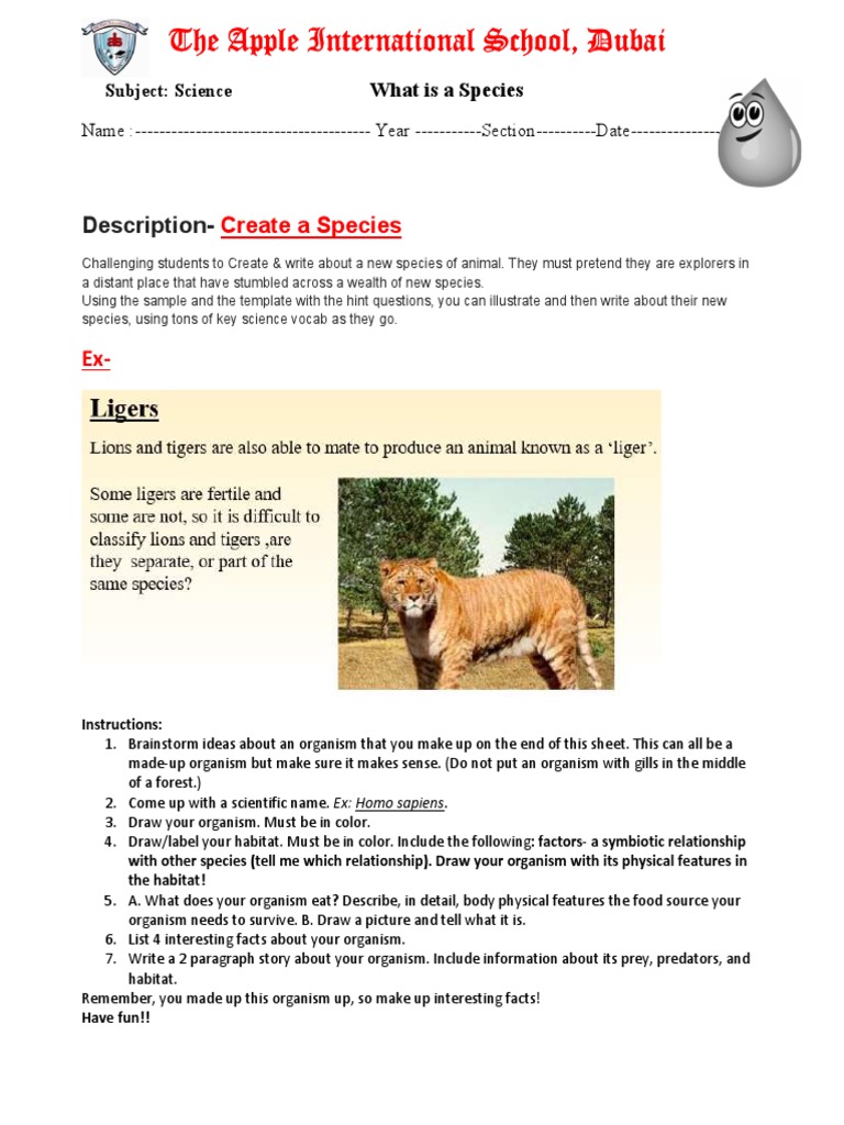 D-2 Create A Species Worksheets | PDF