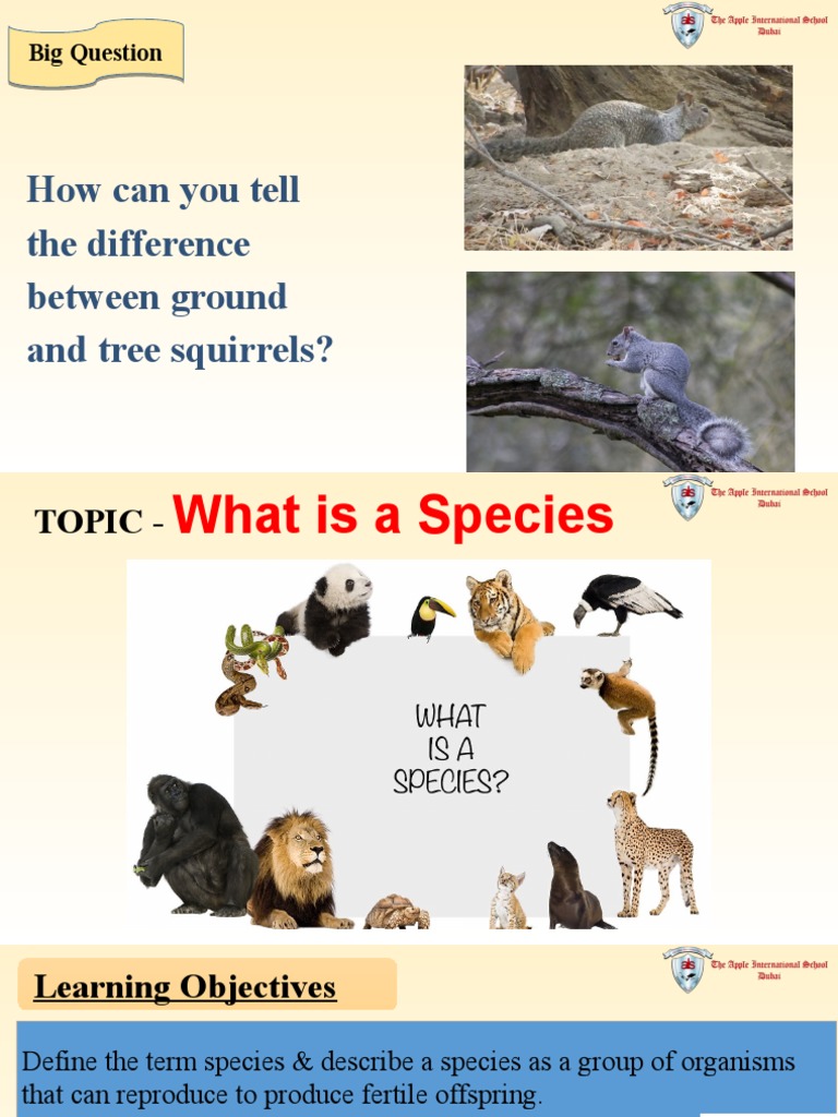 D-3 - 4 What Is Species | PDF | Species | Organisms