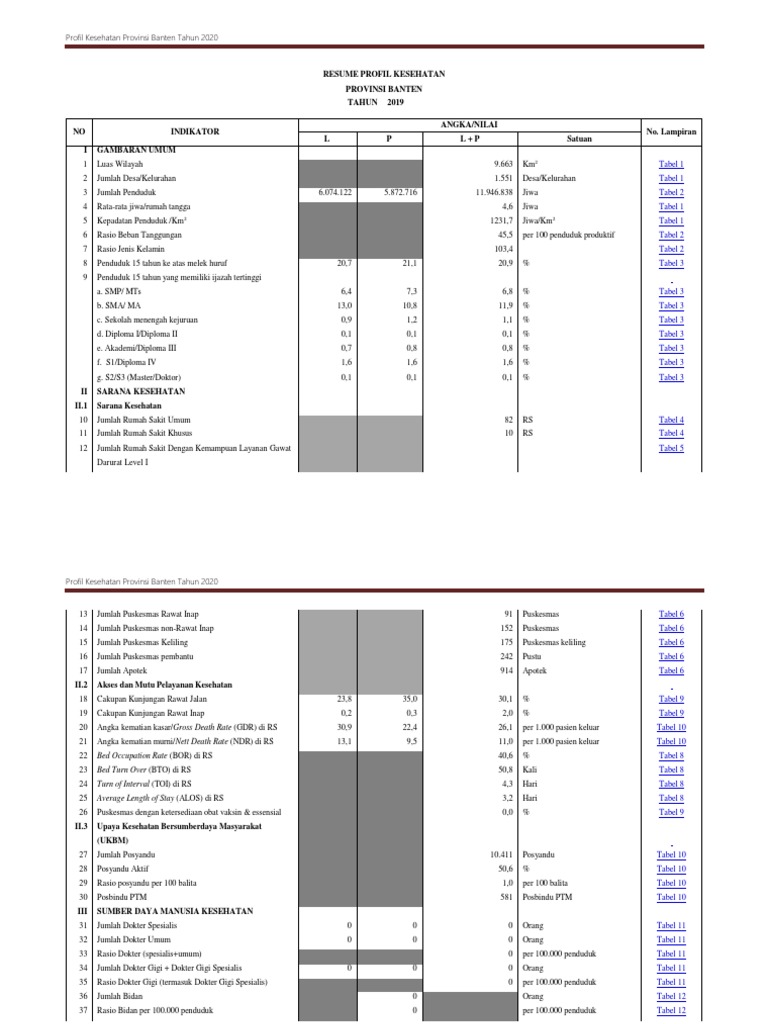 Lampiran Tabel Profil Kesehatan 2020 | PDF