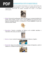 Via Intratecal | PDF | Farmacia | Medicina CLINICA