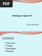 Histology of Git | PDF | Epithelium | Human Digestive System