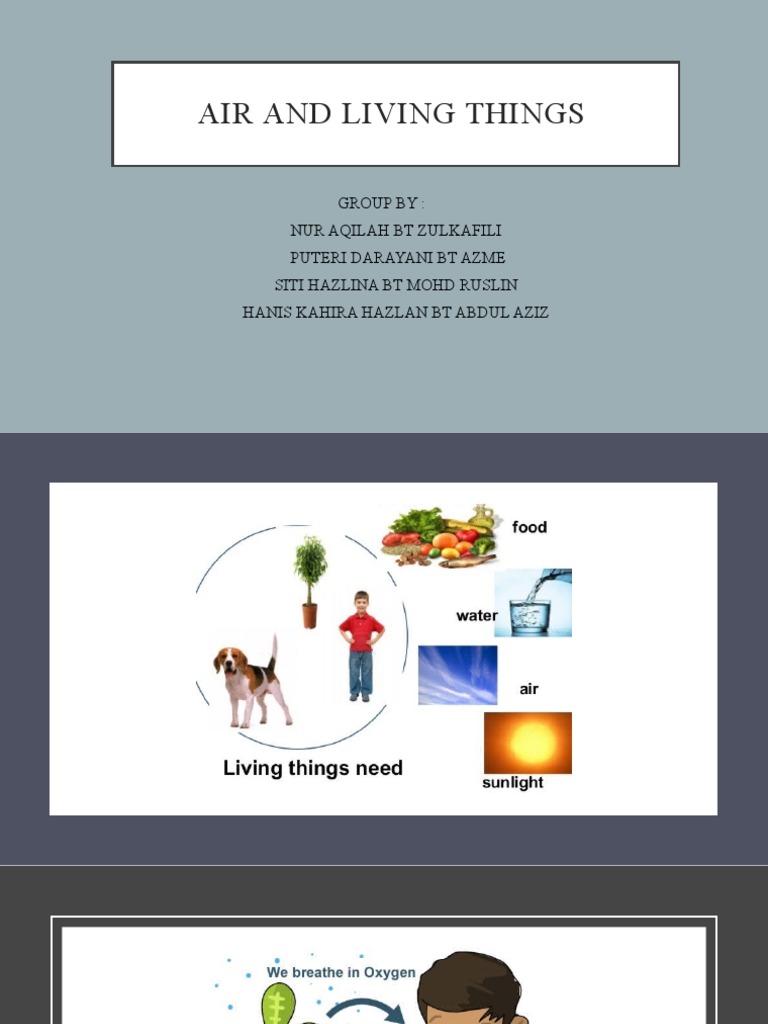 The Interdependence of Air and Living Things: How Plants, Animals, and ...