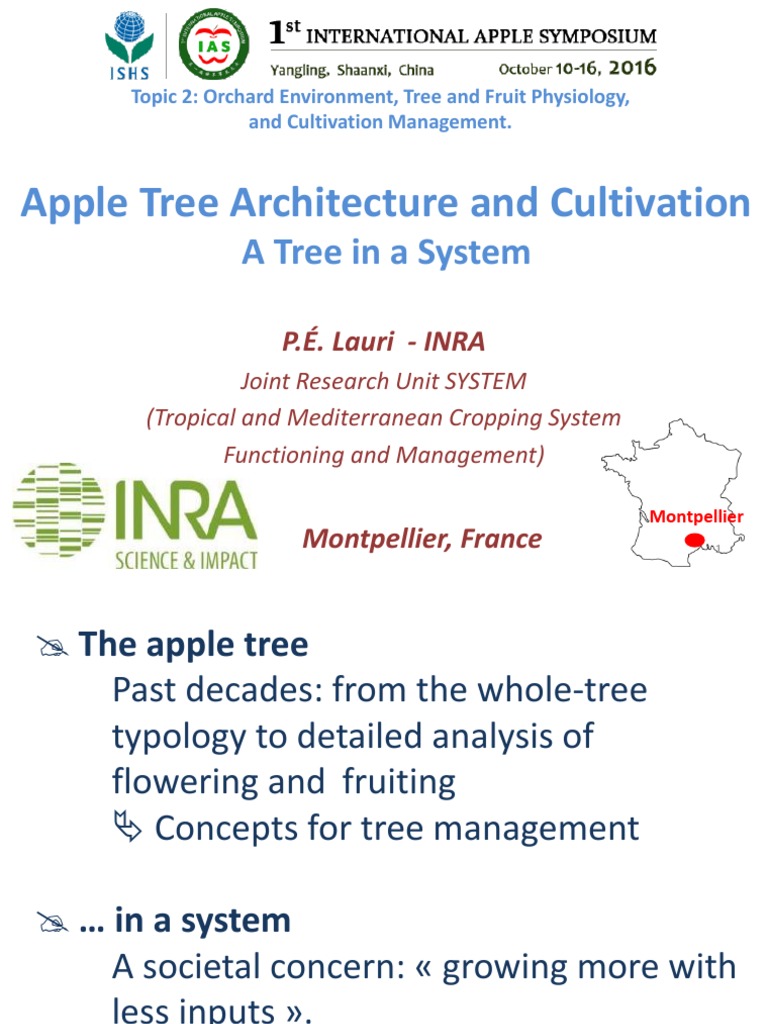 Apple Tree Architecture and Cultivation A Tree in A System | PDF ...