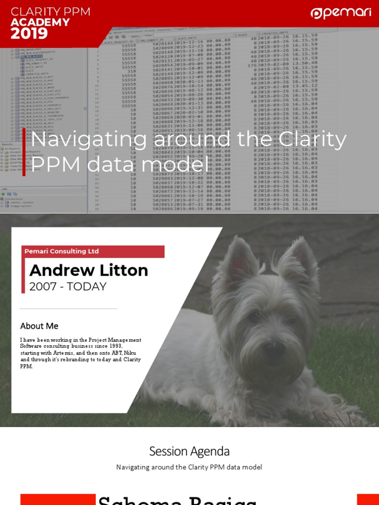 Clarity PPM Data Model Overview | PDF | Databases | Table (Database)