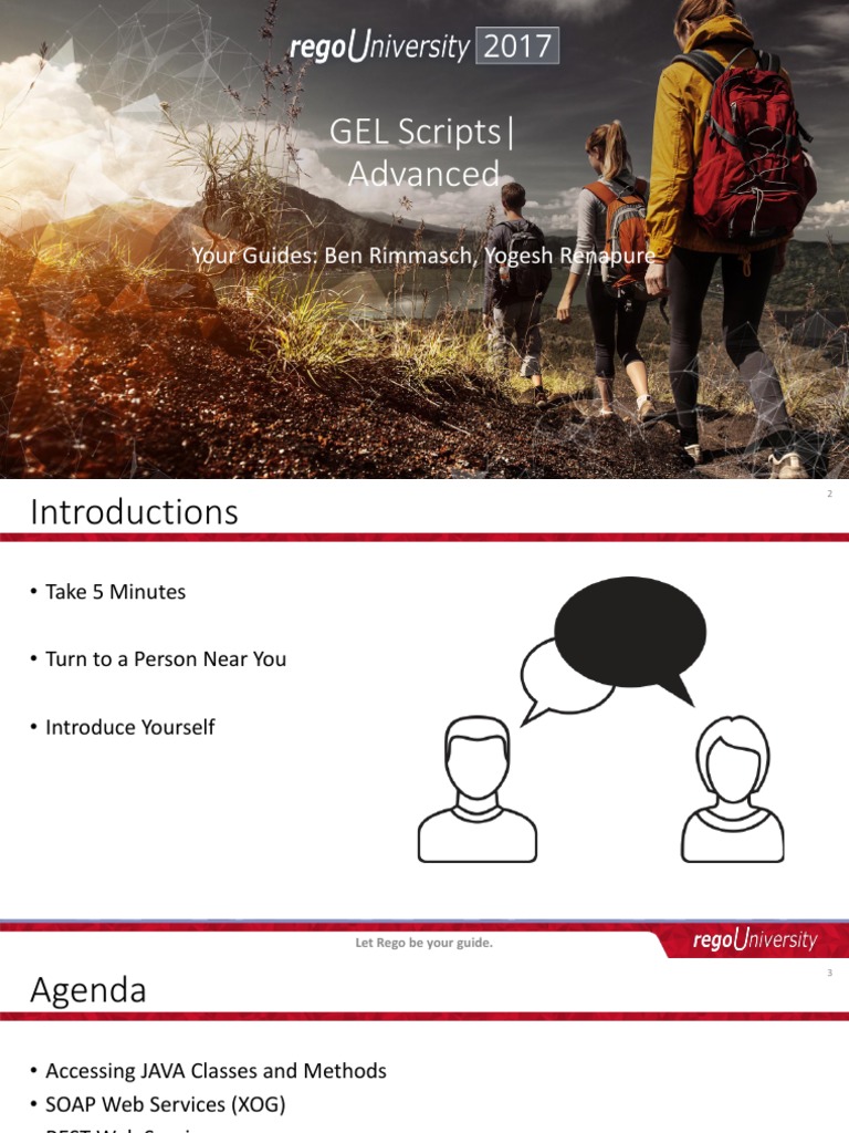 GEL Scripting for Developers | PDF | Web Service | Representational State Transfer