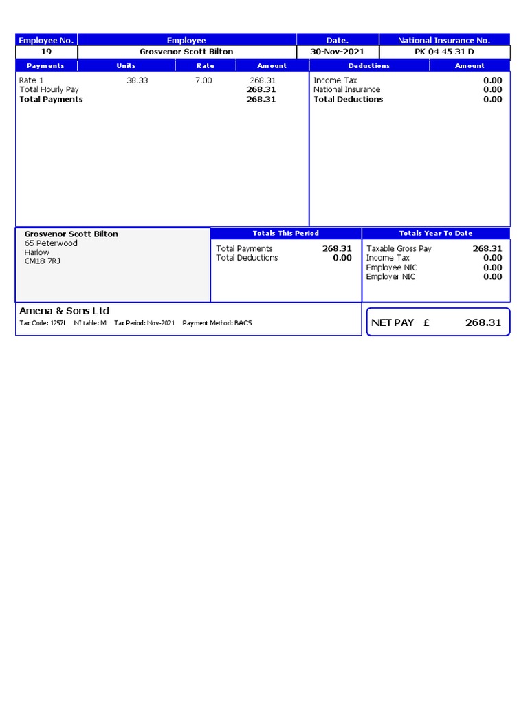 Amena & Sons LTD - Employee Payslip For Nov-2021 For Grosvenor Scott ...