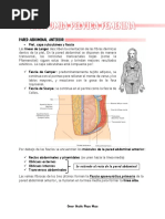 Incisión de Pfannenstiel: Técnica y Ventajas | PDF | Pelvis | Vagina