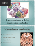 Lobulo de La Insula | PDF | Corteza Insular | Lóbulo temporal