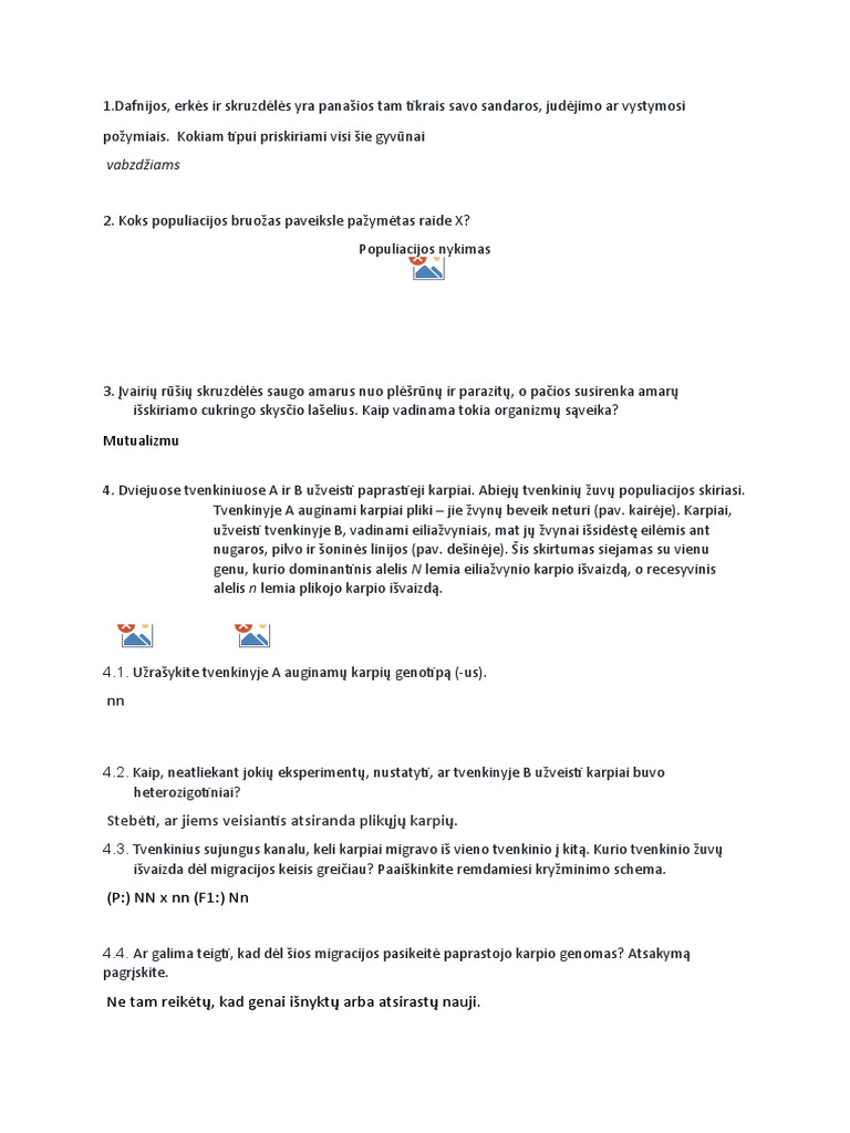 Dokumentas 4 | PDF