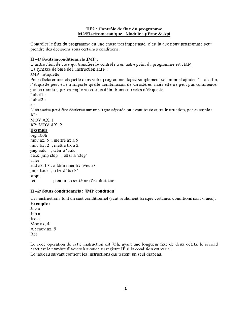 TP2 - P API | PDF | Structure de contrôle | Assembleur