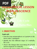 5 E Lesson Plan For Second Grade Life Cycles | PDF | Pupa | Butterfly