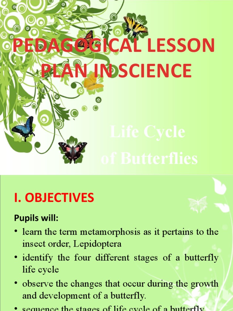 Pedagogical Lesson Plan in Science: Life Cycle of Butterflies | PDF ...