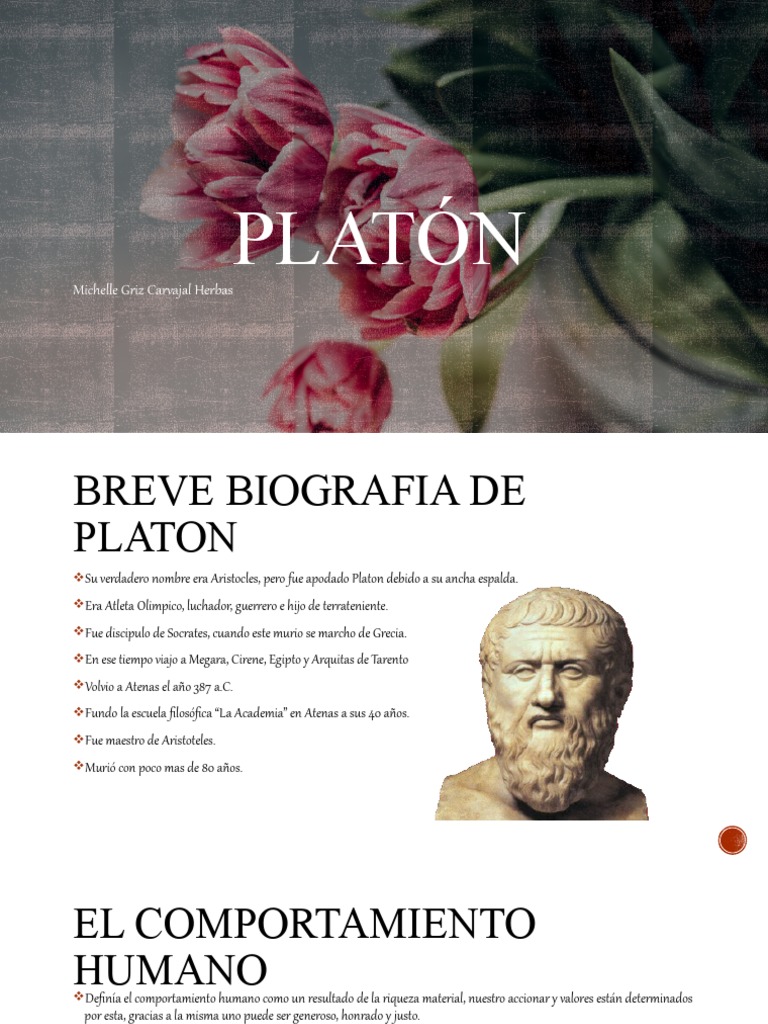 Powerpoint Platon | PDF | Platón