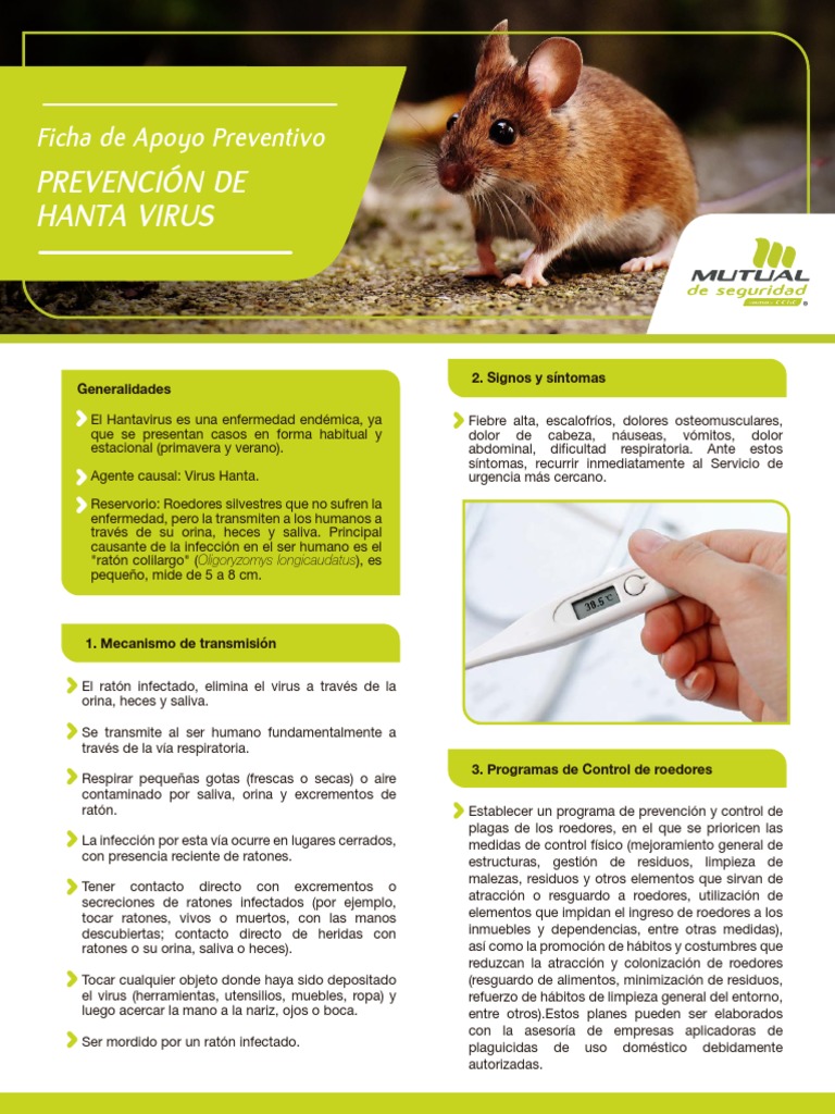 Ficha Apoyo Preventivo Prevencion Hanta Virus | PDF | Infección ...