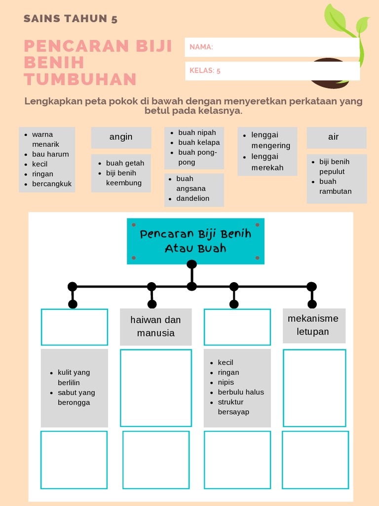 Lembaran Peta Pokok Pencaran Biji Benih Tumbuhan Sains Tahun 5 | PDF
