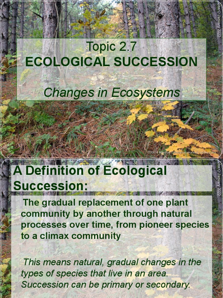 Ecological Succession | PDF | Biodiversity | Organisms