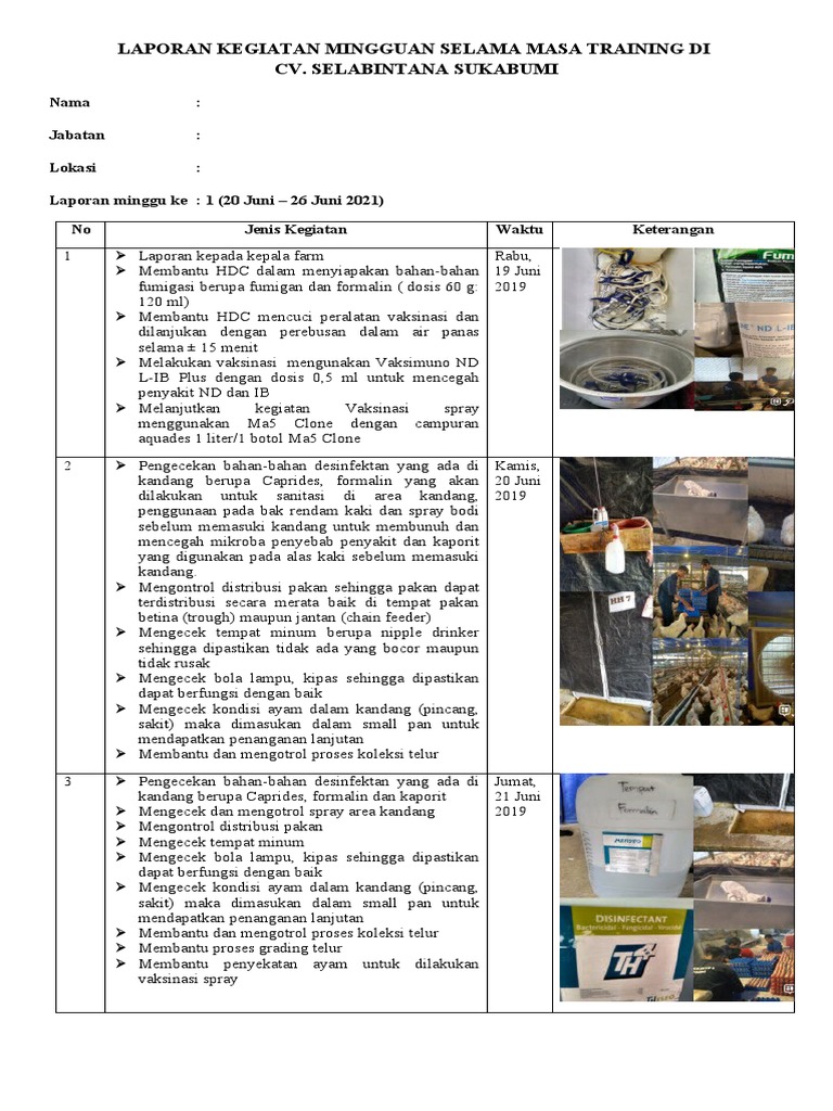 Contoh Format Laporan Mingguan Training | PDF