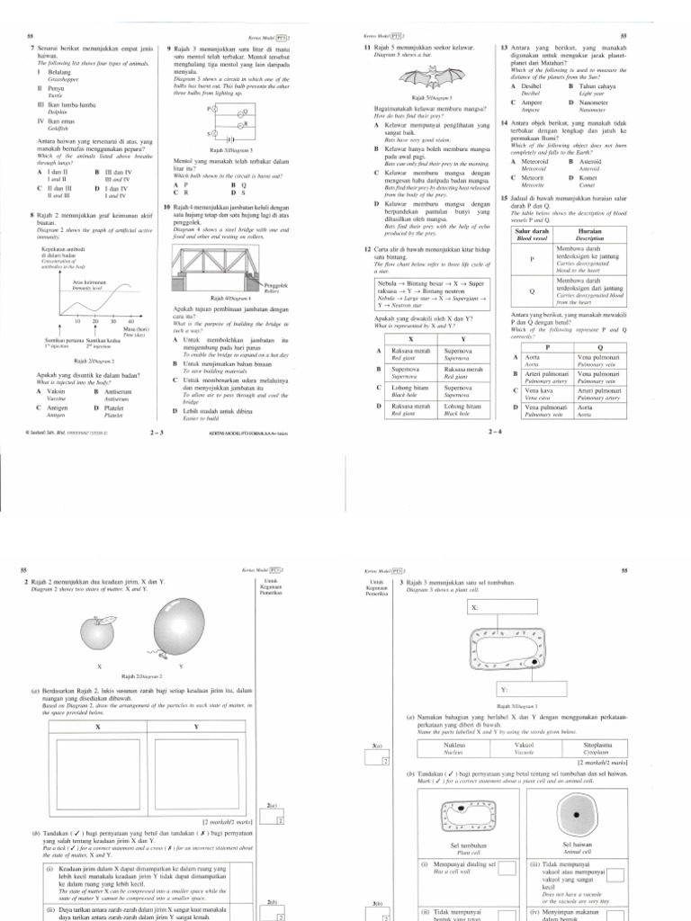 Science F3 Model 2 2 | PDF