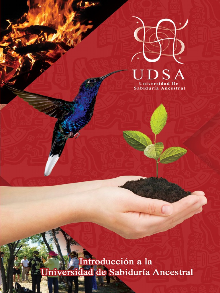 UDSA Introduccion | PDF