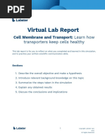 Mystery Cell Model: Structure-Function Organizer | PDF | Computers