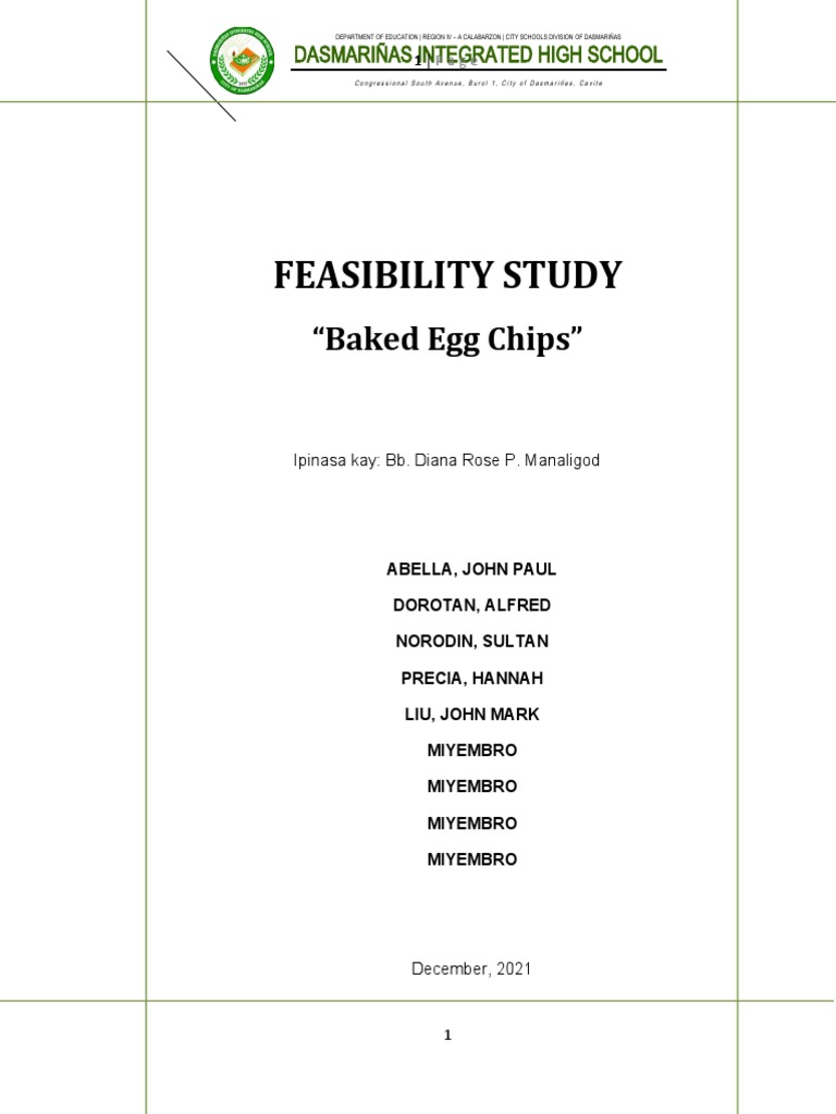 Feasibility Study Template | PDF