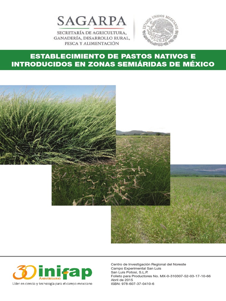 Establecimiento De Pastos Nativos Mexico Pdf Siembra Germinación