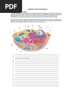 Cell Membrane Poster Project | PDF | Cell Membrane | Cell Biology