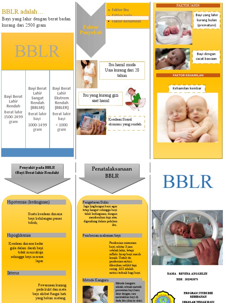 Leaflet Penyuluhan BBLR (Revina Anggelin) | PDF