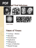 Baltimore Classification of Virus | PDF | Sense (Molecular Biology) | Virus