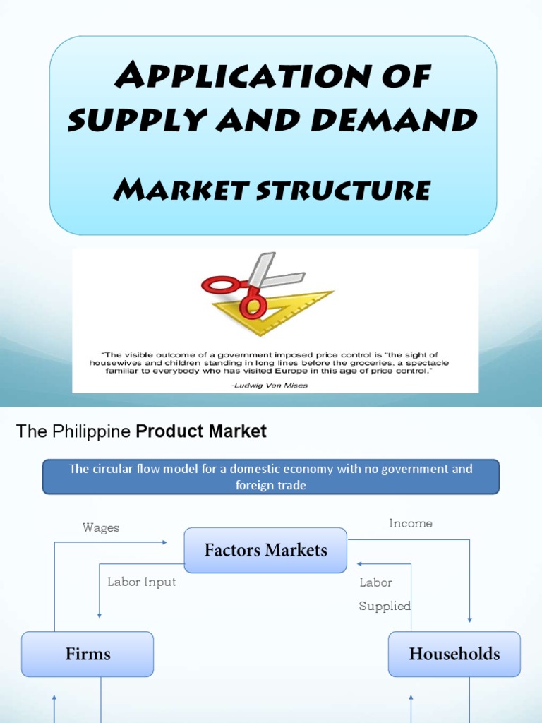 Understanding Market Structures in Economics | PDF | Monopoly | Perfect ...